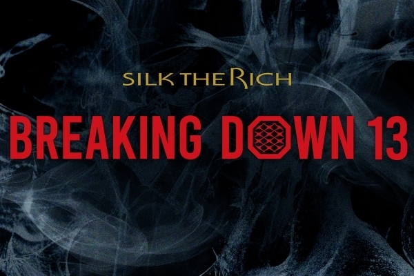 ブレイキングダウン13(BreakingDown13)の動画配信の視聴方法｜PPVチケットの最安値での購入方法や対戦カードまとめ - 動画配信Now