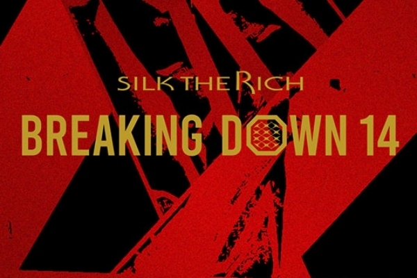 ブレイキングダウン14(BreakingDown14)のスポーツ配信の視聴方法｜PPVチケットの最安値での購入方法や対戦カードまとめ - 動画配信Now