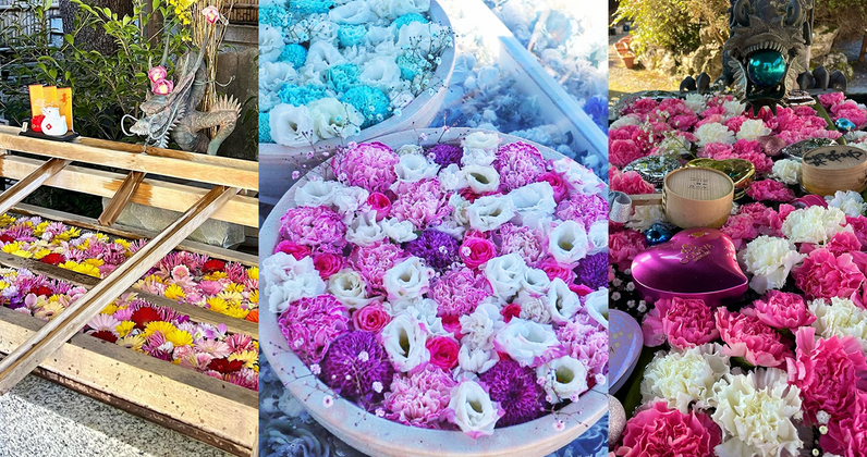 Temples and Shrines as Instagram-Worthy Spots! 5 Gorgeous Hana Chozu ...